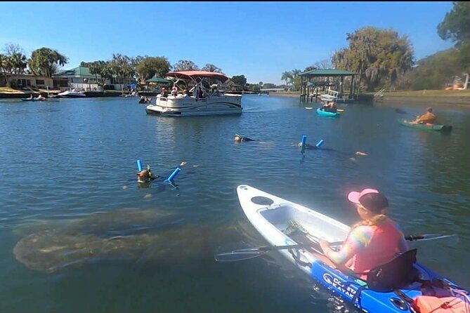 Crystal River Sunrise Manatee Clear Kayak Tour - Who Will Love This Tour?