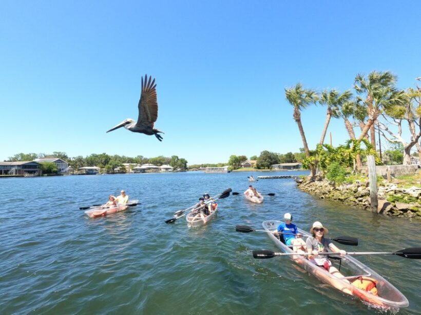 Crystal River: Three Sisters Springs Eco Tour by Clear Kayak - Practical Tips for Your Visit