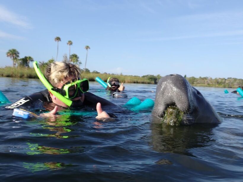 Crystal River: VIP Manatee Swim w/ In-water Photographer - FAQ