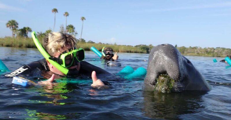 Crystal River: VIP Manatee Swim w/ In-water Photographer - Key Points