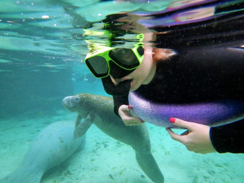 Crystal River: VIP Manatee Swim w/ In-water Photographer - The Value of This Tour