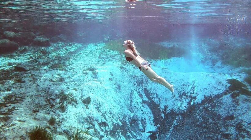Crystal River:Three Sisters Springs Guided Kayak & Swim Tour - The Itinerary: What You Can Expect