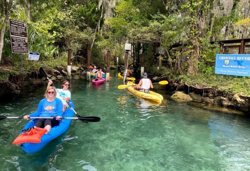 Crystal River:Three Sisters Springs Guided Kayak & Swim Tour - Authentic Experiences from Reviews