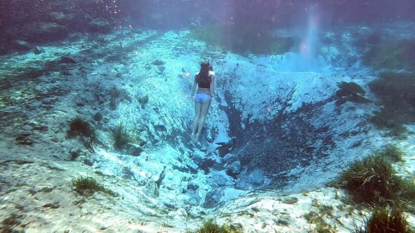 Crystal River:Three Sisters Springs Guided Kayak & Swim Tour - Who Should Consider This Tour?