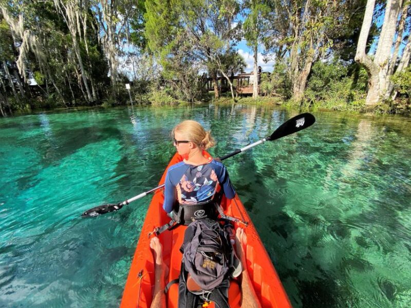 Crystal River:Three Sisters Springs Guided Kayak & Swim Tour - Key Points
