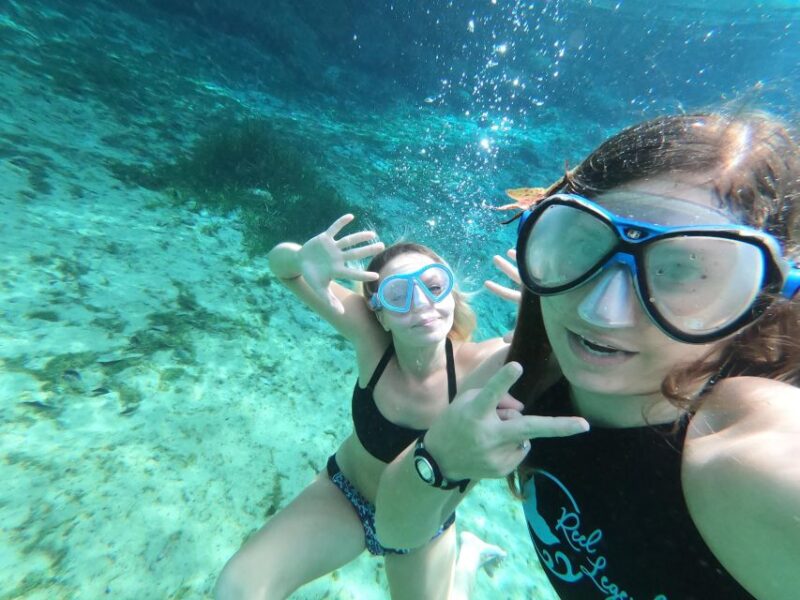 Crystal River:Three Sisters Springs Guided Kayak & Swim Tour - FAQ