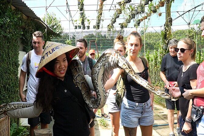 Cu Chi Tunnels and Mekong Delta Journeys from History to Culture - A Practical Look at the Tour