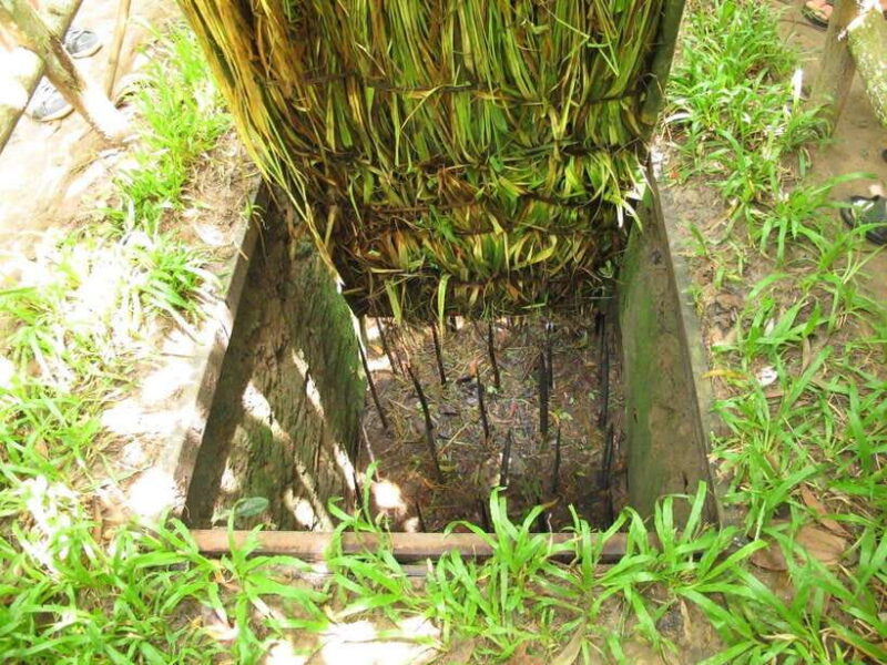 Cu Chi Tunnels Half-Day Tour with Lunch from Ho Chi Minh - Practical Tips for Travelers