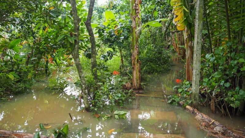 Cu Chi Tunnels & Mekong Delta Small Group Tour Full Day - What You’ll Experience in Detail