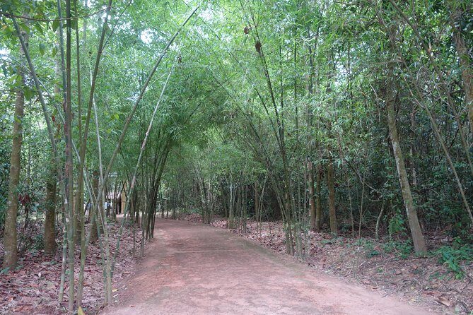 Cu Chi Tunnels Private Half-Day Tour - The Experience for Different Travelers