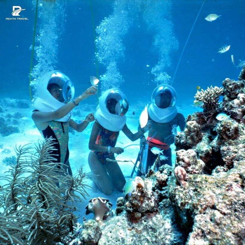 Cu Lao Cham Island Snorkeling Tour With Optional Sea Walking - Who Would Enjoy This Tour?