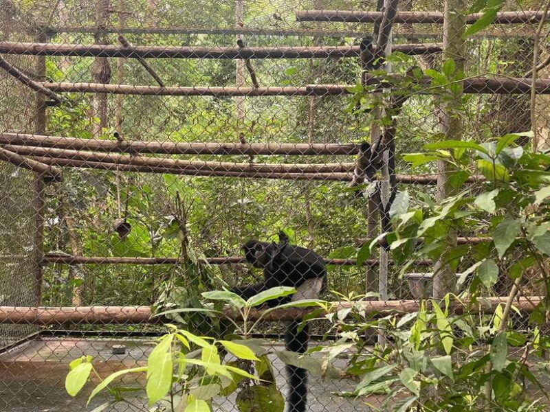 Cuc Phuong Day Trip From Hanoi - Practical Tips and Insights