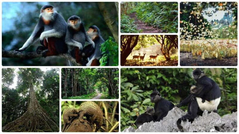 Cuc Phuong National Park Adventure: Nature Tour in 1 day - Practical Details and Value