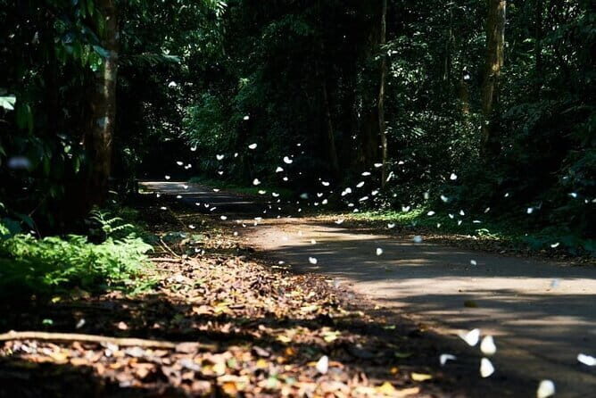 Cuc Phuong National Park Adventure: Trekking with Local Guide - A Deep Dive into the Experience