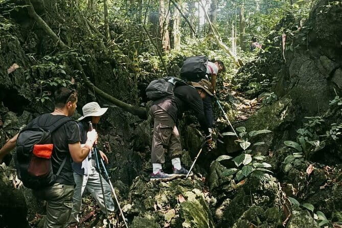 Cuc Phuong National Park Adventure: Trekking with Local Guide - Is This Tour Worth It?