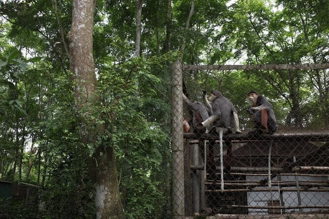 Cuc Phuong National Park Adventure: Trekking with Local Guide - The Sum Up
