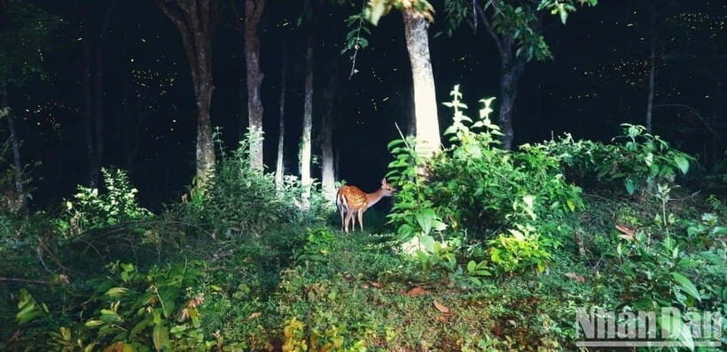 Cuc Phuong National Park And Van Long Wetlands 2 Days Tour - What Real Travelers Say