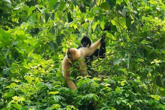 Cuc Phuong National Park Group Day Tour - Key Points
