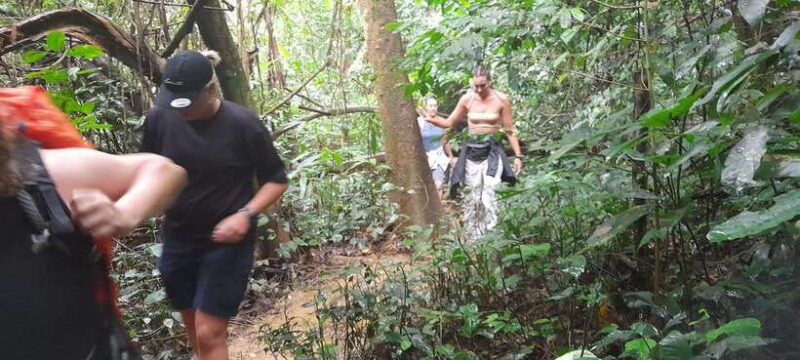 Cuc Phuong National Park Hiking Tour - Key Points