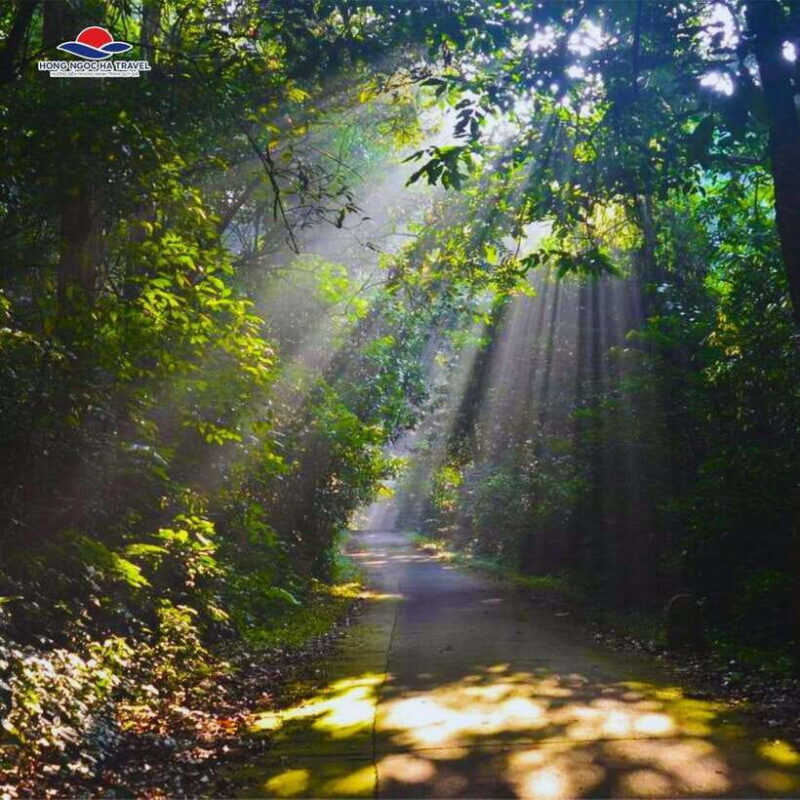 Cuc Phuong National Park Private Tour From Hanoi Old Quarter - Key Points