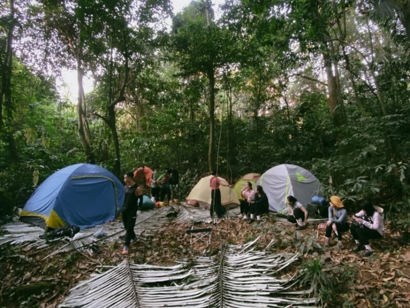 Cuc Phuong National Park: Trek & Camp in Jungle 2 days - Final Thoughts: Is This Tour for You?