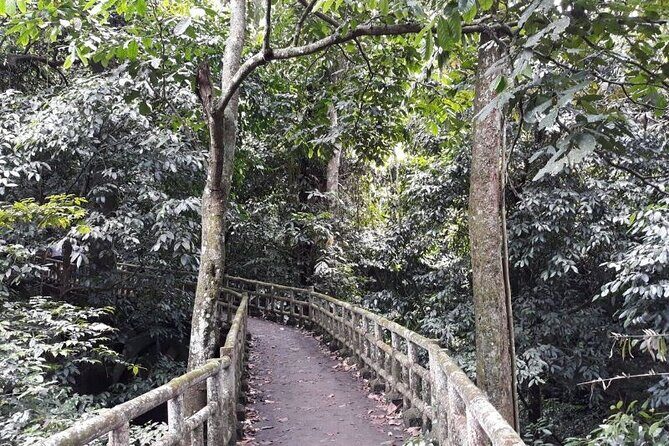 Cuc Phuong National Park Trekking: Private Day Tour From Hanoi - Exploring Cuc Phuong National Park: A Detailed Breakdown