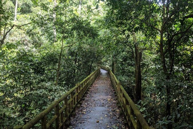 Cuc Phuong National Park Trekking: Private Day Tour From Hanoi - Who Will Love This Tour?