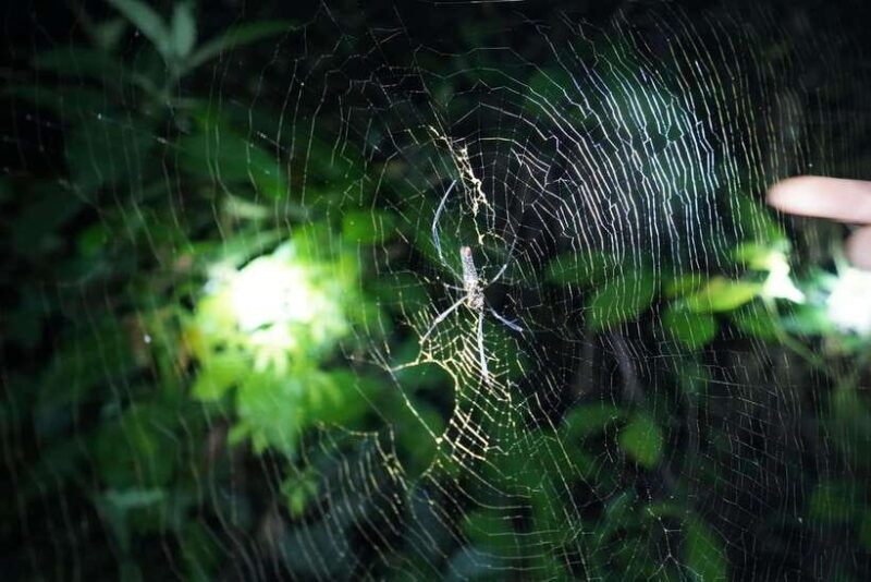 Cuc Phuong National Park, Van Long 2 Day Private Tour - What’s Included and What’s Not