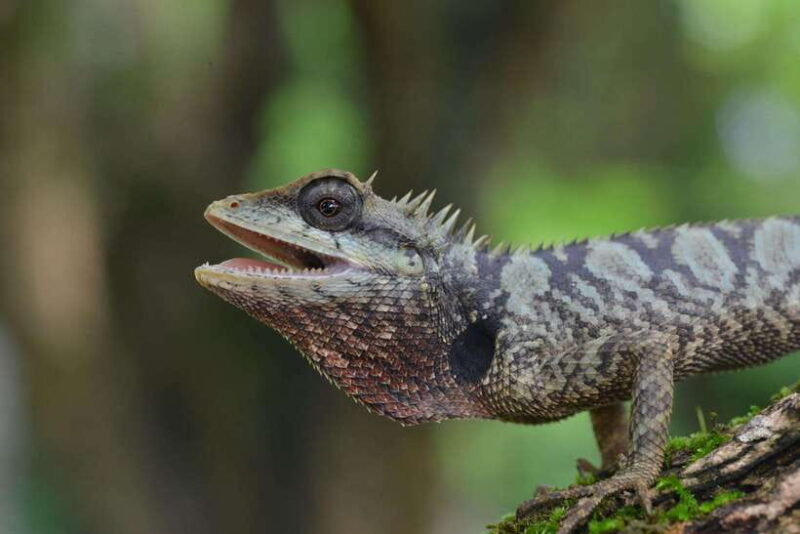 Cuc Phuong National Park, Van Long 2 Day Private Tour - The Sum Up: Is This Tour Worth It?