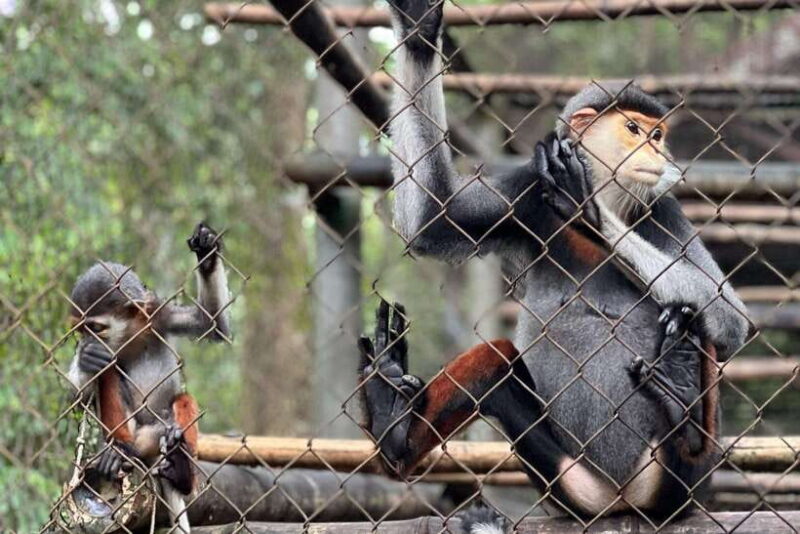 Cuc Phuong -Van Long Day Trip From Hanoi With Lunch/Transfer - Key Points