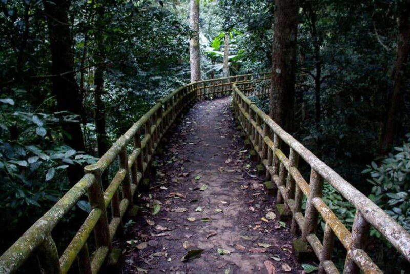 Cuc Phuong -Van Long Day Trip From Hanoi With Lunch/Transfer - Trekking and Exploring in Cuc Phuong National Park