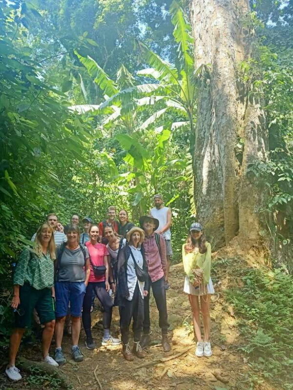 Cuc Phuong -Van Long Day Trip From Hanoi With Lunch/Transfer - What’s Included and What to Bring