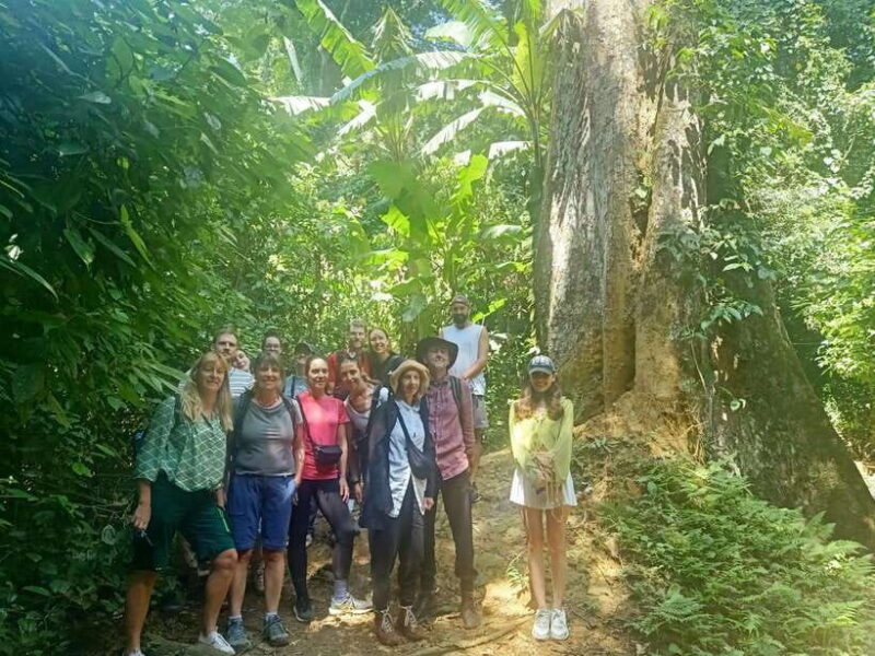 Cuc Phuong -Van Long Day Trip From Hanoi With Lunch/Transfer - FAQs