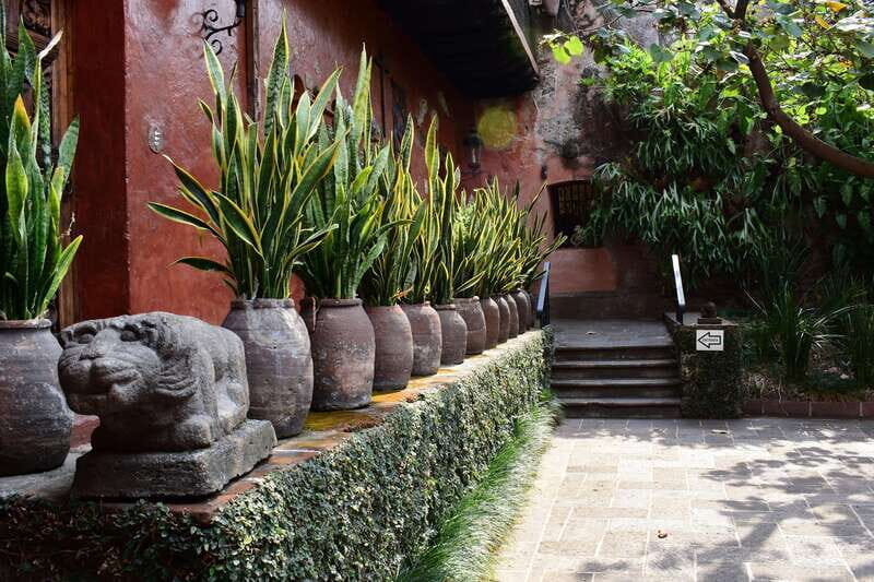 Cuernavaca: Museo Robert Brady Entrance Tickets - The Experience and Why It Matters