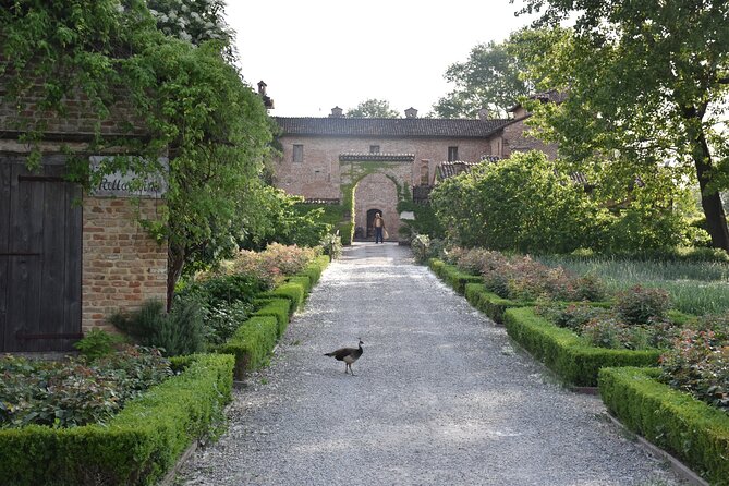 Culatello and more: Private Full-Day Food Tour in Parma - Key Points