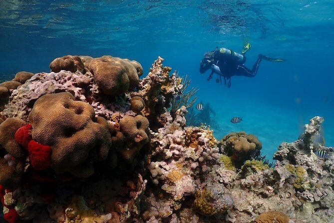 Culebra Snorkeling and beach Day Experience by boat - Itinerary Breakdown