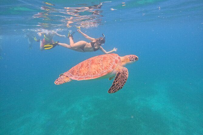 Culebra Swim with Turtles Adventure and Flamenco Beach by Ferry - Key Points