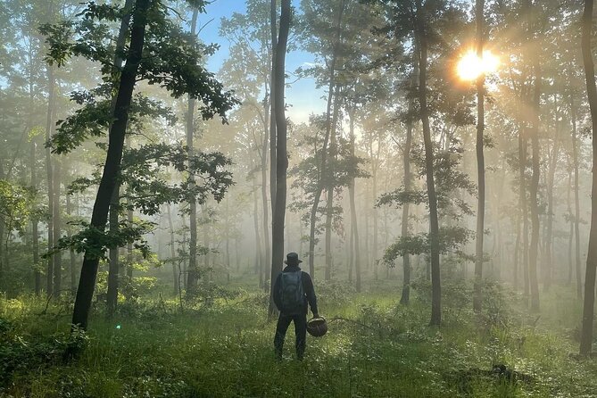 Culinary Adventure To The Fungi And Botanical Kingdom Of Bulgaria - Exploring Bulgaria’s Fungi and Botanical Kingdom: A Truly Unique Culinary Adventure