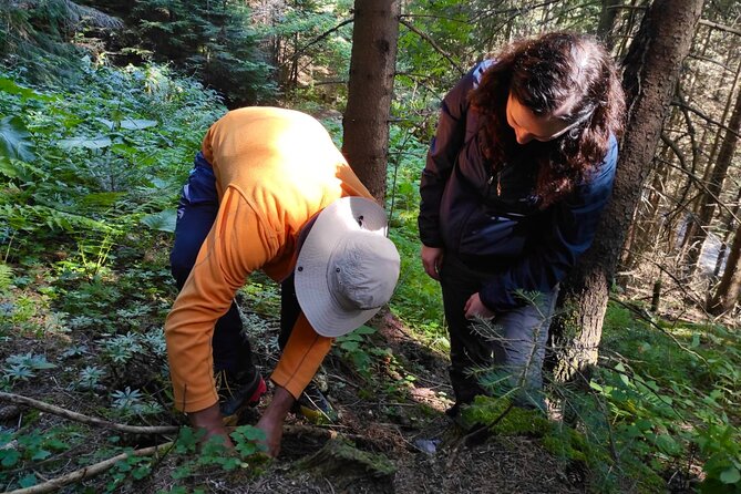 Culinary Adventure To The Fungi And Botanical Kingdom Of Bulgaria - What Makes This Tour Stand Out?