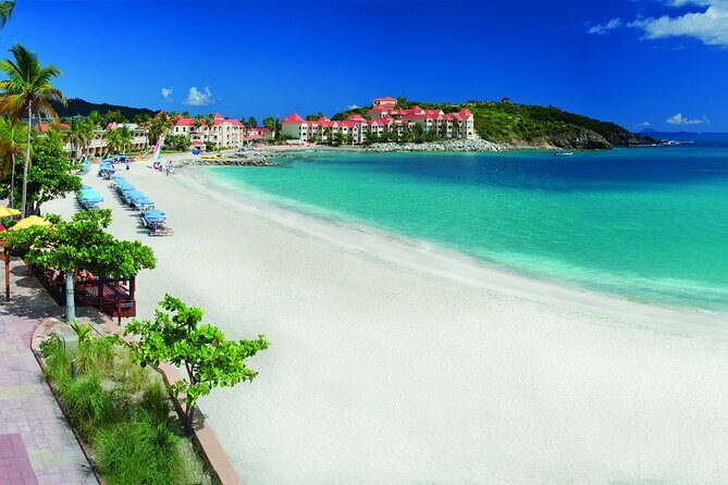 Culinary Culture Delight Top Seller - The Realities of the Tour: Pros and Cons