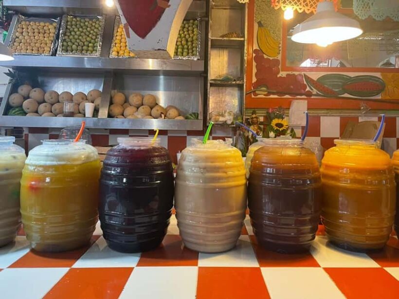 Culinary experience Puebla (cooking class) - Final Thoughts