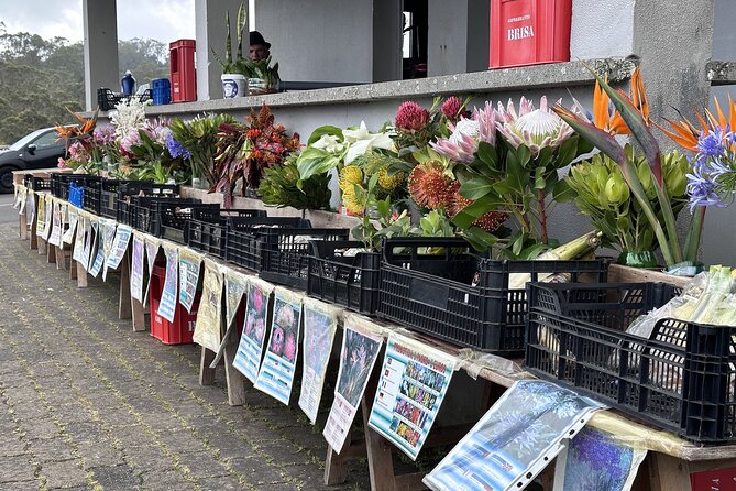 Culinary "Food & (E) Bike" Tour - Discovering Madeira’s Flavors on a Scenic E-Bike Tour