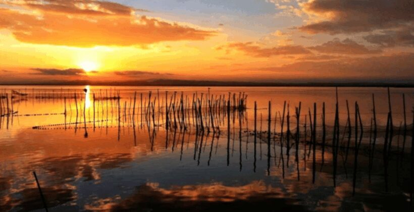 Cullera: History, Beach, and the boat trip to the Albufera - Strolling Through the Old Town and Beaches