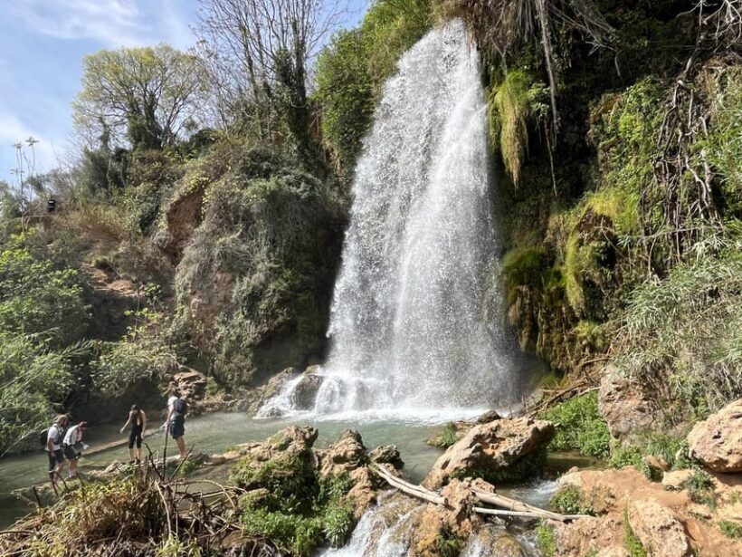 Cullera: History, Beach, and the boat trip to the Albufera - Authentic Experiences and Local Flavors