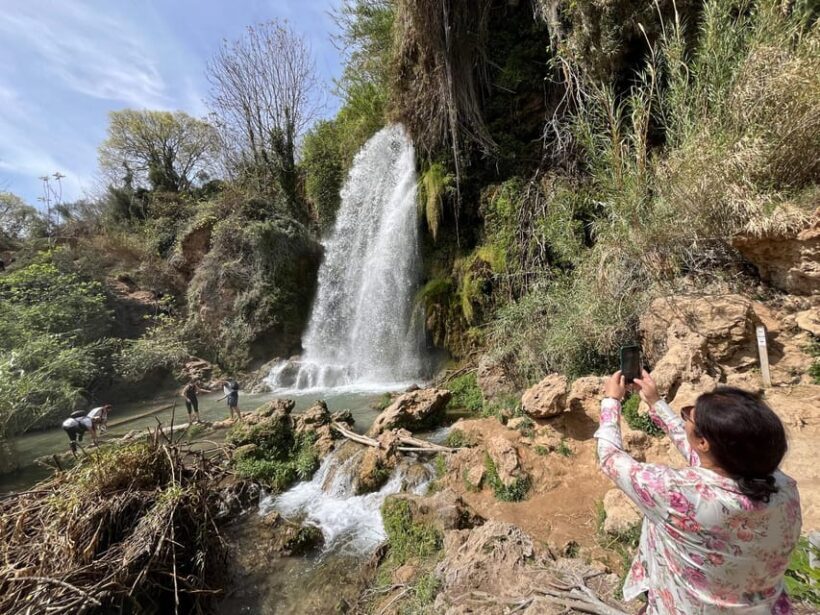 Cullera: History, Beach, and the boat trip to the Albufera - Who This Tour Is Perfect For