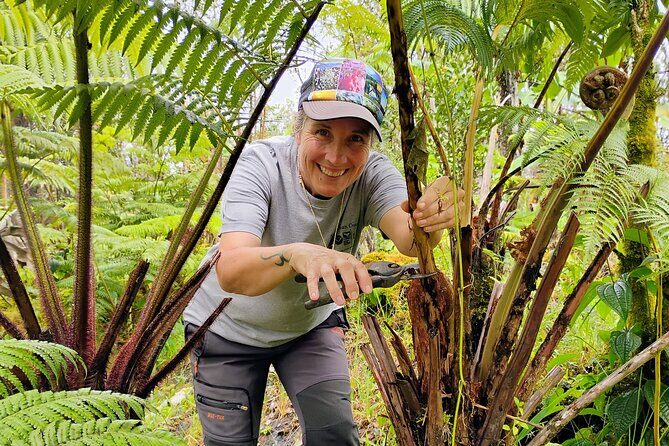 Cultivate Hapuu Ferns with Citrus Tea in the Hawaiian Rainforest - A Detailed Look at the Itinerary