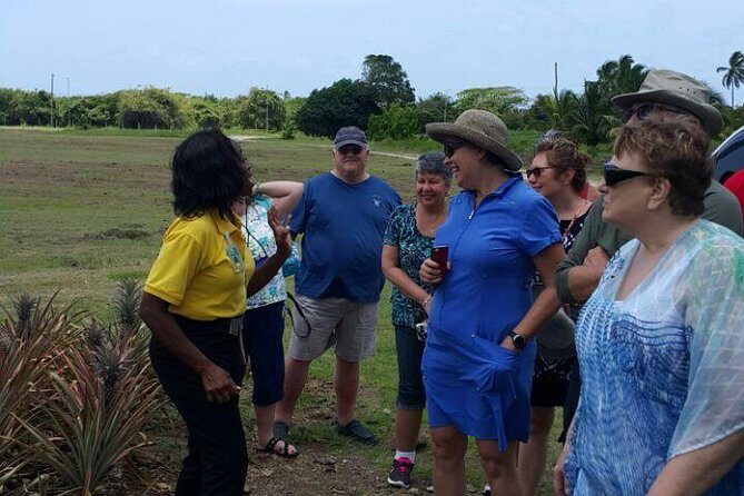 Cultural and Historical Home Tour in The Antiguan Experience - An In-Depth Look at the Itinerary