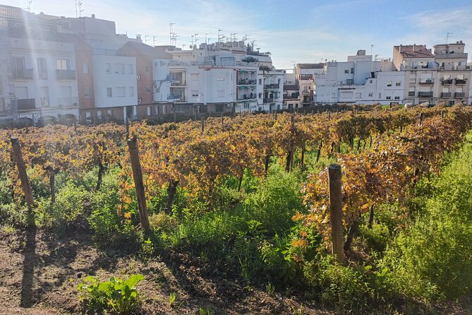 Cultural coastal trip with winery visit from Barcelona - Final Thoughts