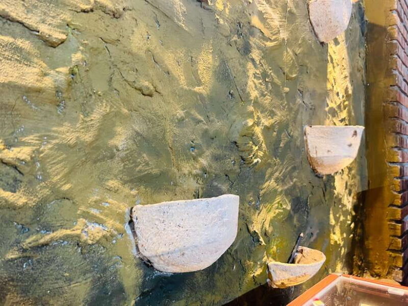 Cultural Cruise Discover Hoi An's Treasure & Rhum Production - Final Thoughts