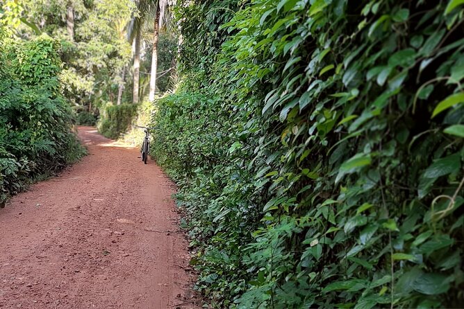 Cultural Cycling Tour - half day (8:00-11:30) - Who Would Love This Tour?